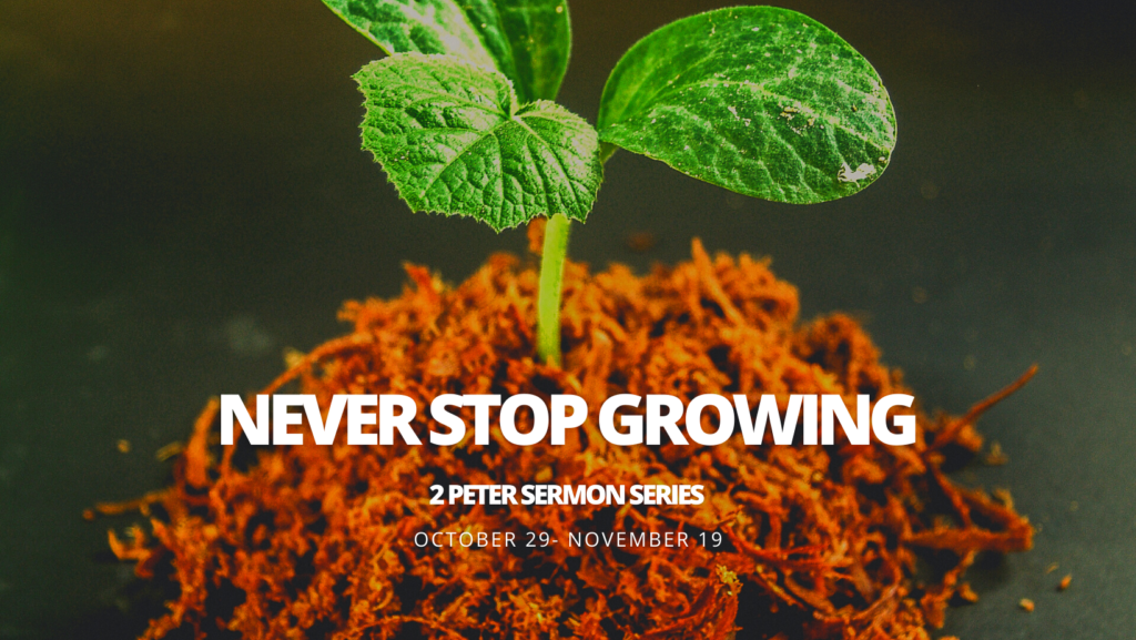 "Growing While Waiting"- 2 Peter 3 - Journey Bible Fellowship - Leander ...